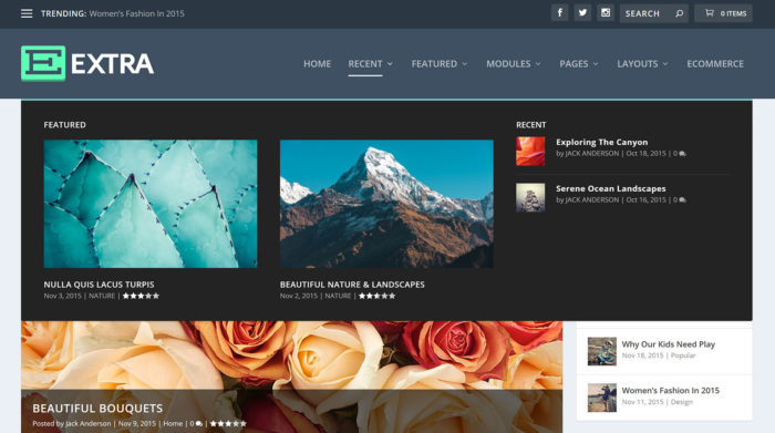 Elegant Themes 'Extra' WordPress Theme - Reviewed!